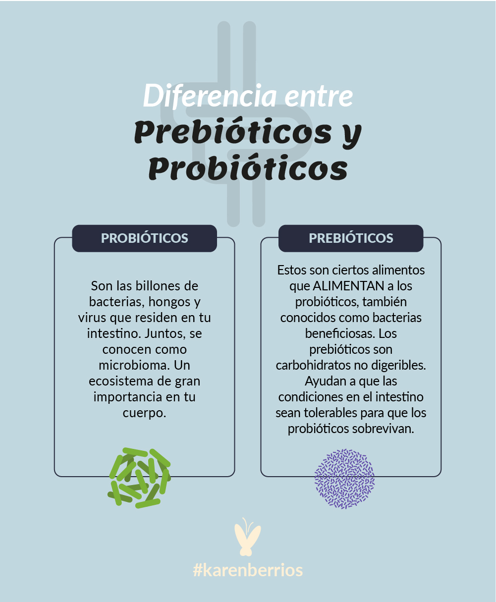 ¿CUÁLES SON LAS DIFERENCIAS ENTRE PROBIÓTICOS Y PREBIÓTICOS? - Karen Berrios Blog: Wellness ...
